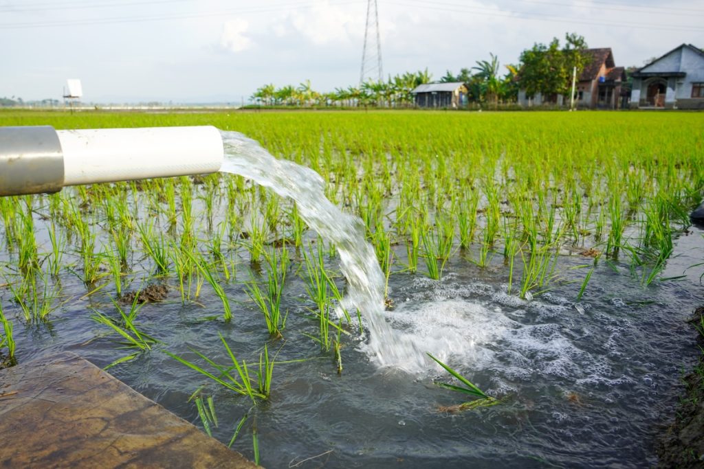 Youth Water Agenda: Transforming the Future of Water Security – Global ...